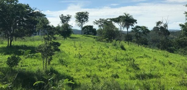 Fazendas, Sítios e Chácaras com energia elétrica à venda no Estado de ...