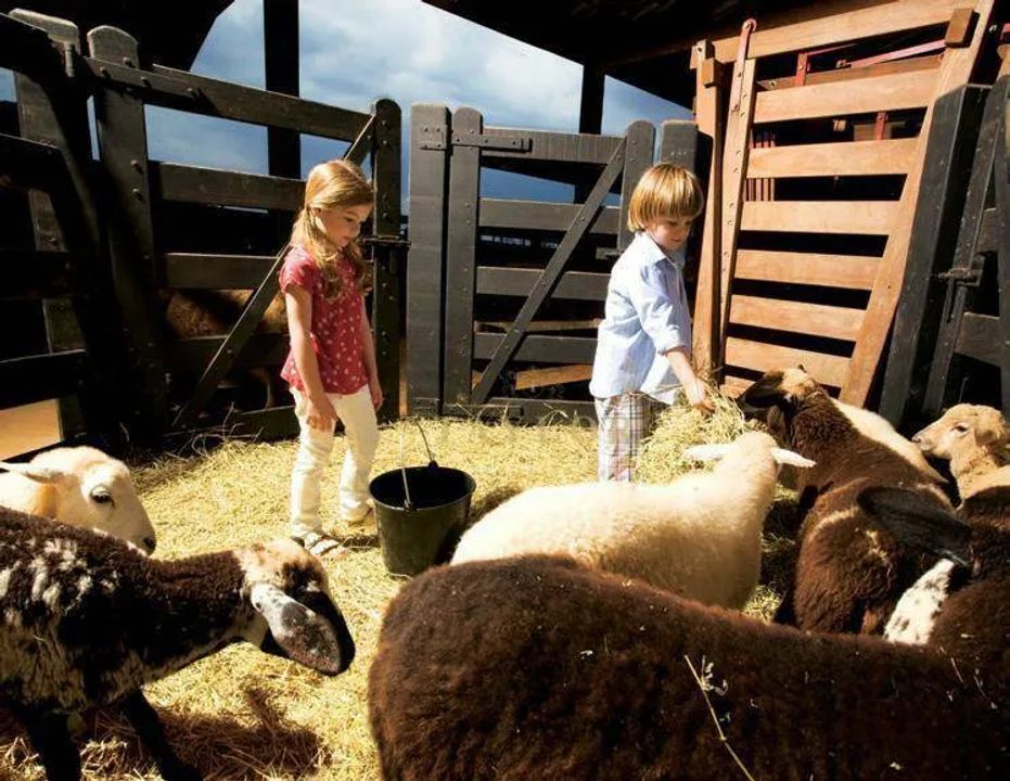 Casa de Condomínio com 4 quartos e mobiliado, 630 m², Porto Feliz - ZAP ...